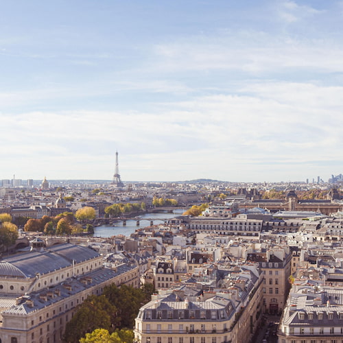 Work visa D to France (Blue Card EU) ️ Feod Group